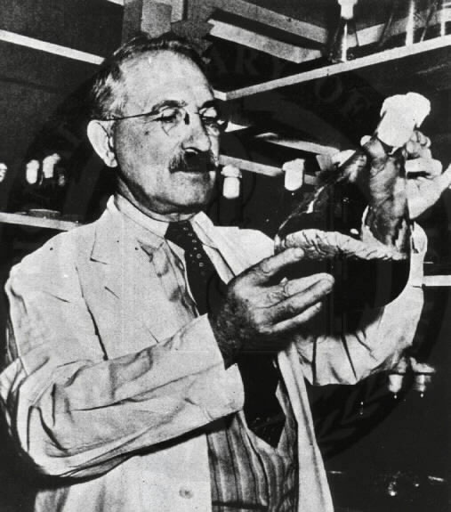 Ιστορία της Ιατρικής: Σέλμαν Βάκσμαν (Selman A. Waksman) [115]